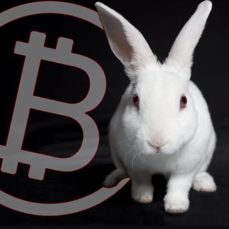 Black Hat Demo to Reveal ‘White Rabbit’ Crypto-Transaction Surveillance ...